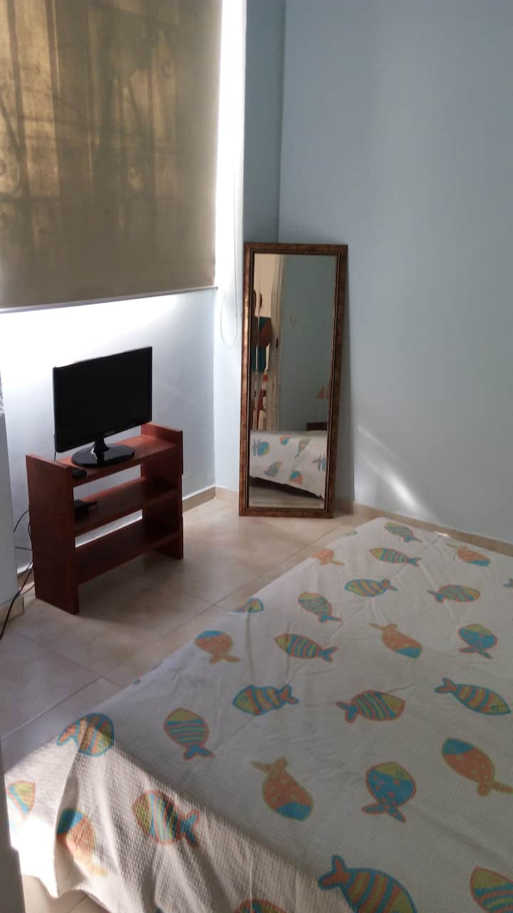 Apartamento Em Santa Teresa - Rio de Janeiro