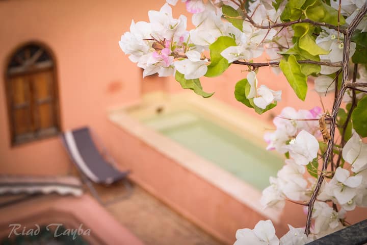 A Nice Suite Room With Pool And Private Kitchen - Fes