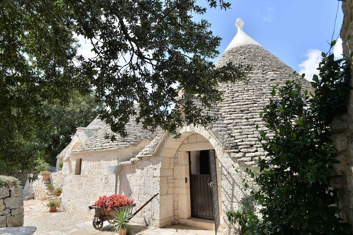 Executive Apulia Estate - Noci