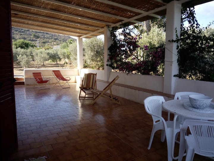 Casa Vacanza Tra Gli Ulivi Con Vista Mare - Ustica