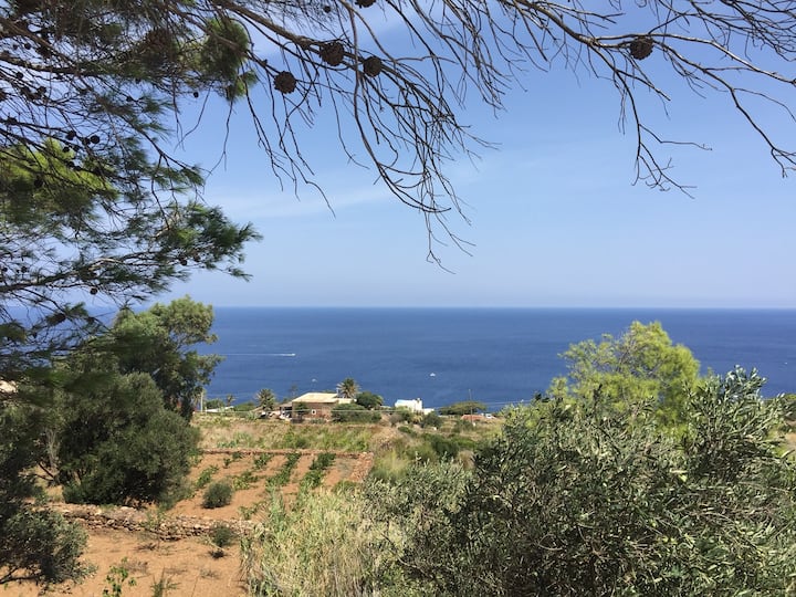 Il Dammuso Dei Pini - Pantelleria