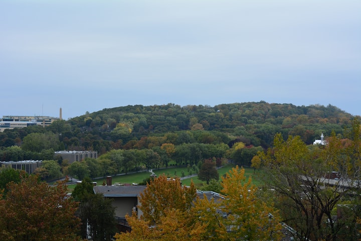 Superb View,  Parking, Minutes To Downtown! - Montreal