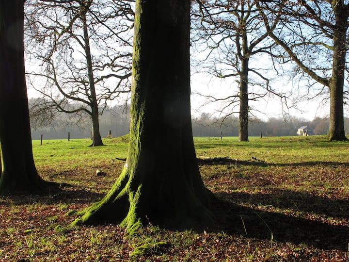 L'aire Des Oiseaux , Gîte Rural - Bouillon