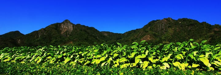 美濃金字山下-月影臺燭 - 龍崎區