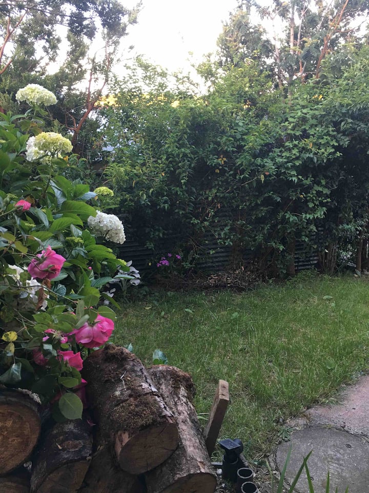 Departamento 2 Personas, Amplio En Ancud, Chiloé - Ancud