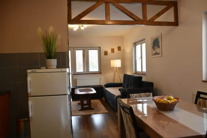 Apartman Petar 2 - Mokra Gora