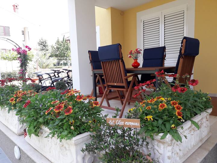 Apartment 1648 - Poreč