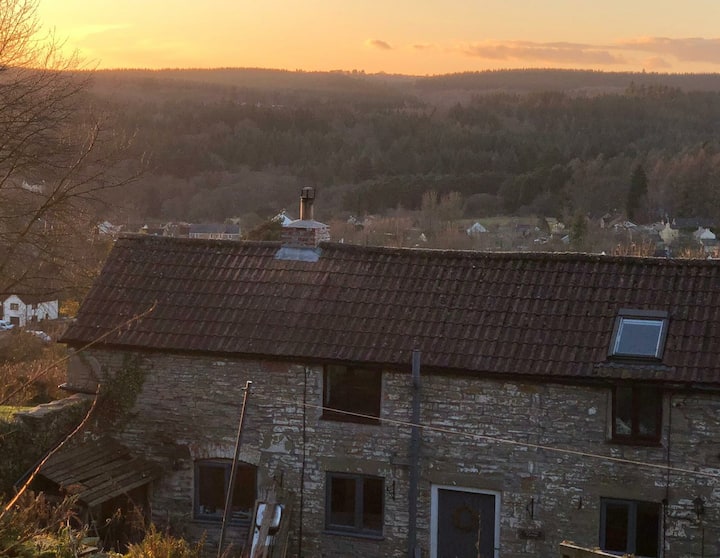 Cosy, Stylishly Renovated Cottage Forest Of Dean - Gloucestershire