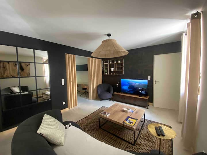 Belle Maison/terrasse/seminaire/gare/centre/arena - Reims