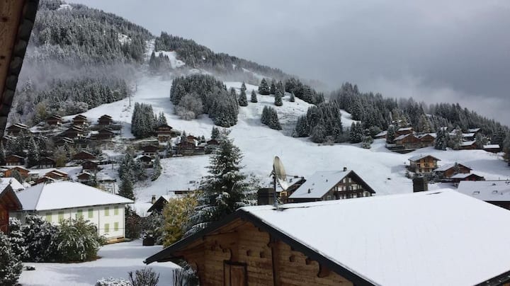 Le Grand Muveran, Duplex Apartment - Châtel