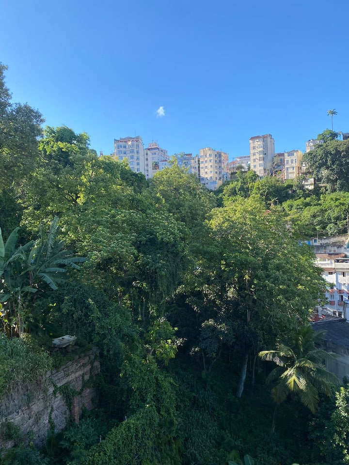 Apartamento Com Linda Vista Arborizada Na Glória - Glória