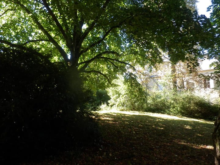 Bordevieille - Mirande