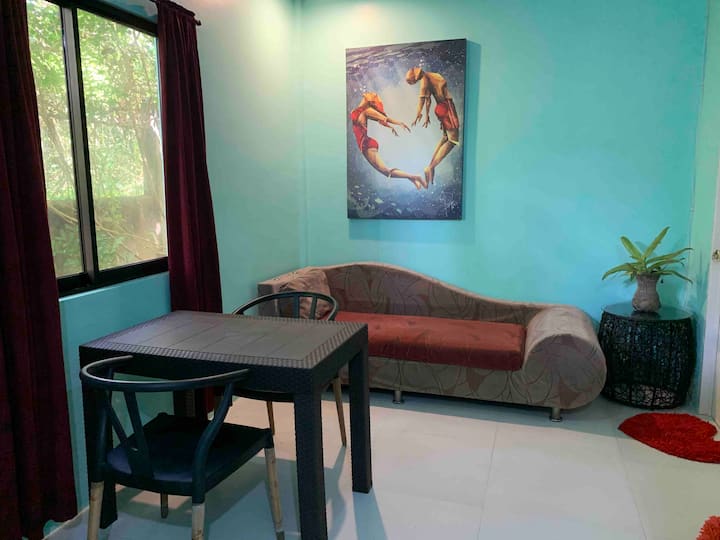 Margie's Home Apt #2 With Fast Starlink Internet - Coron