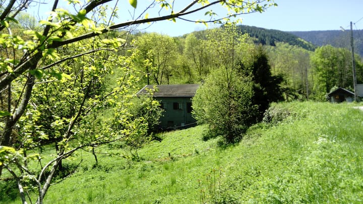 Gite Du Riou (Ruisseau En Occitan ) - Tarascon-sur-Ariège