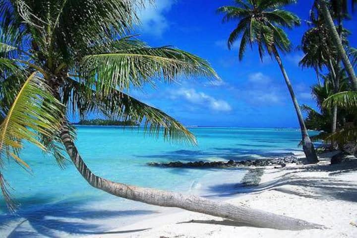 Mi Casita En Cuba - Florida