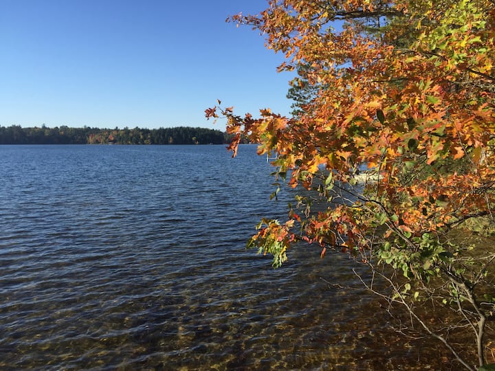 Cozy Cottage On Two Sisters Lake. Friday-friday - Minocqua, WI