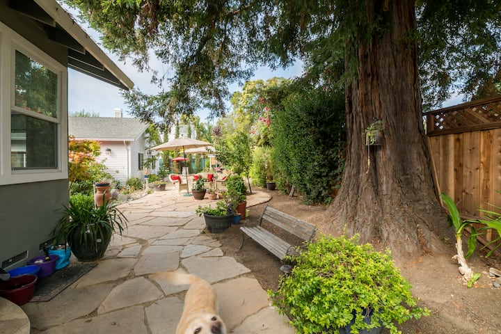 Palo Alto Gardens , A Hidden Oasis - Palo Alto, CA