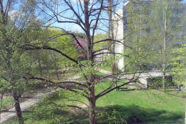 Viihtyisä Kerrostaloyksiö Harjun Kainalossa - Lahti