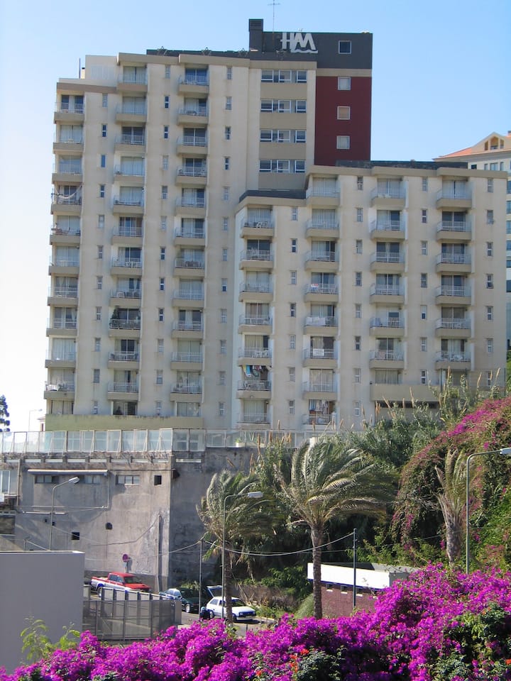 Funchal Holiday Rentals & Homes - Madeira, Portugal | Airbnb
