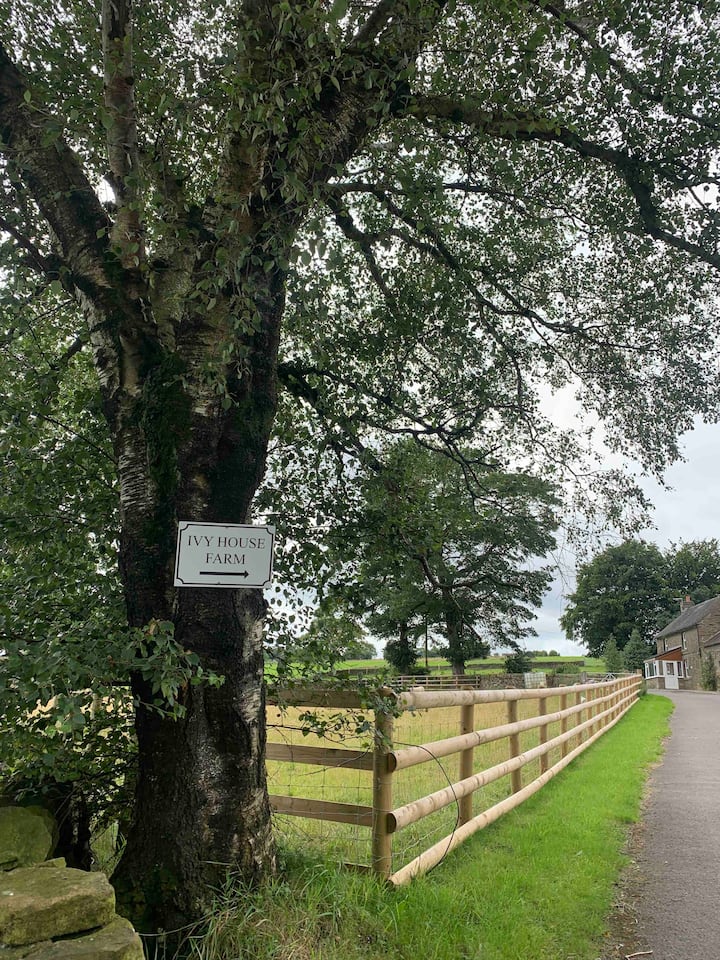 Ivy House - Longnor