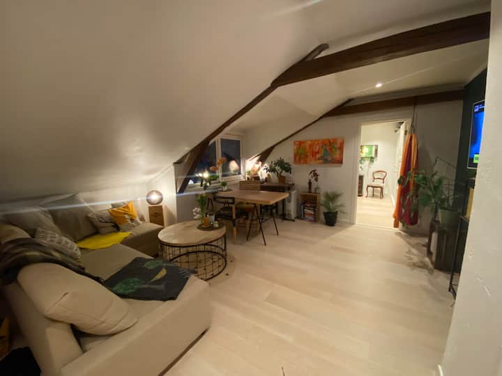 Loftsleilighet På Torshov - Oslo