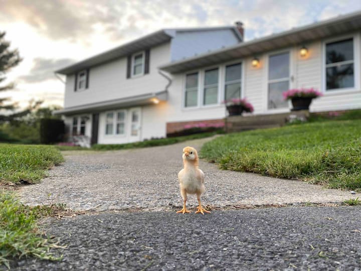 The Hinton House: Great Summer Hiking! - Bridgewater, VA