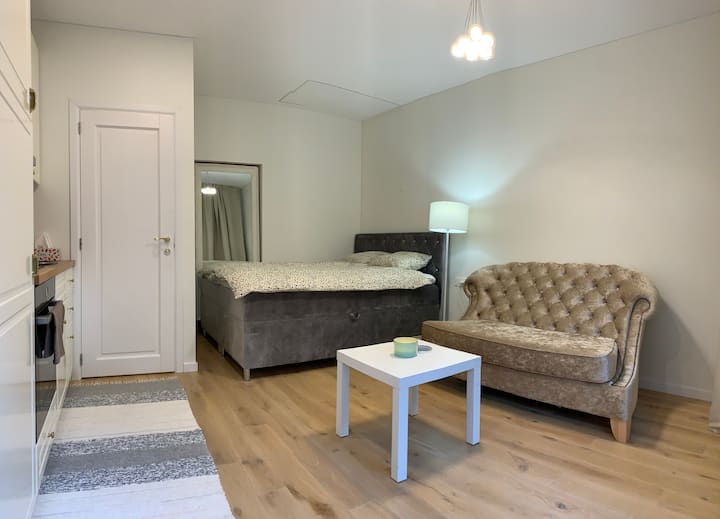 Mini Studio With A Terrace - Kaunas