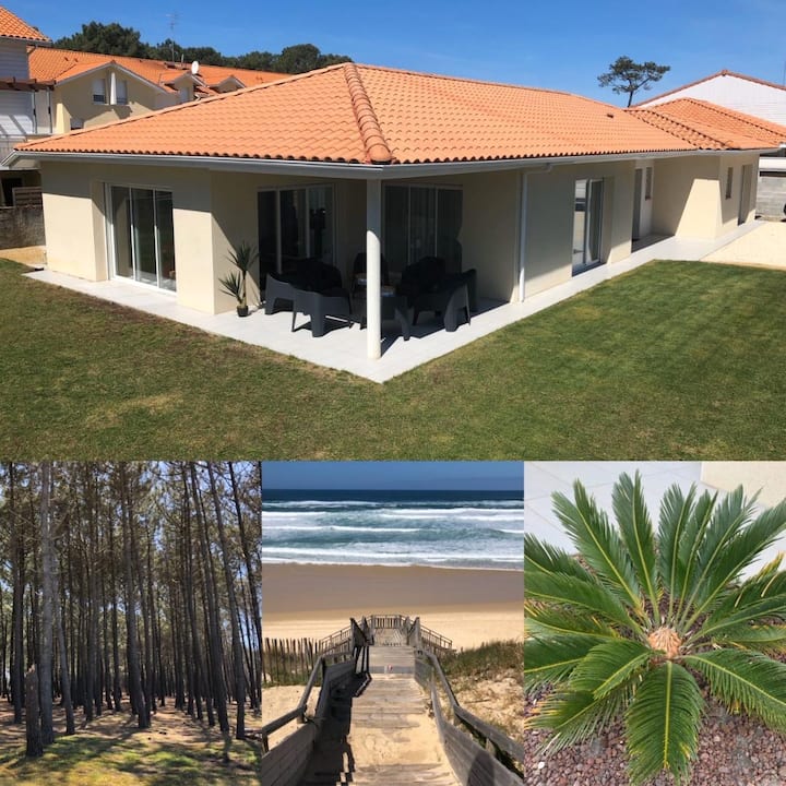 Villa Wine & Beach 12 Pers Piscine Intér Chauffée - Biscarrosse