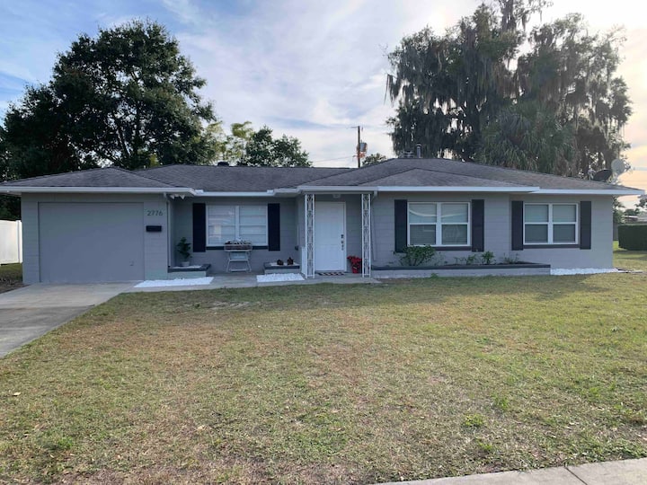 Gorgeous, Newly Renovated Home! - Mount Dora, FL