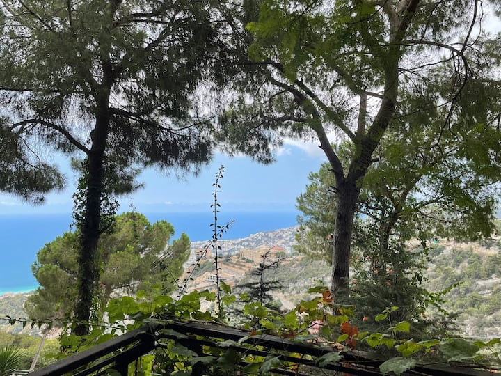 Under The Pines Apartment - With Garden - Liban