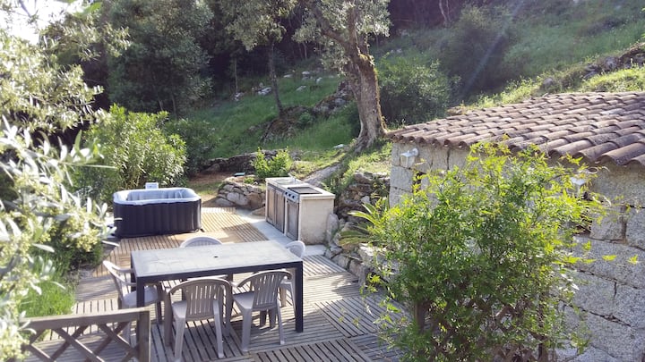 Gîte Au Coeur D'une Oliveraie - Sartène