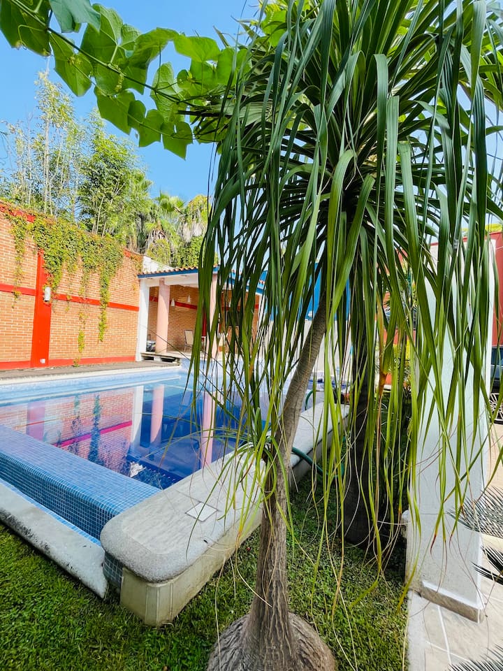 Hermoso Departamento Cerca De Cuernavaca - Cuernavaca