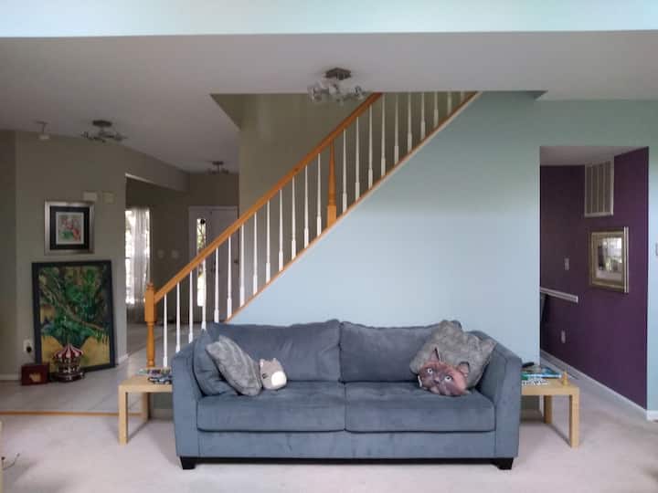 1 Bed & Priv Bath, Lg Office, Full House Privilege - Dumfries, VA