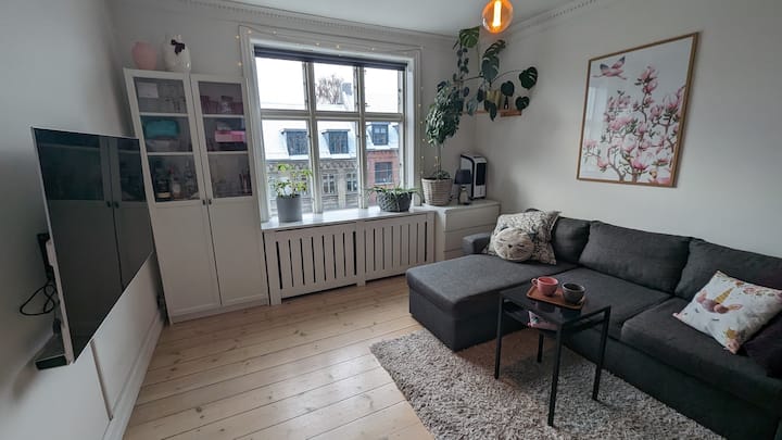 Central, Cozy Apartment With Cat And Free Parking - Kopenhag