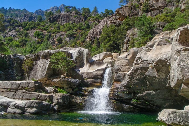 Appartement De Type 1 Neuf - Corte