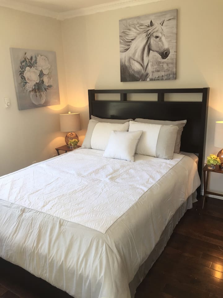 Bright Bachelor - Toronto