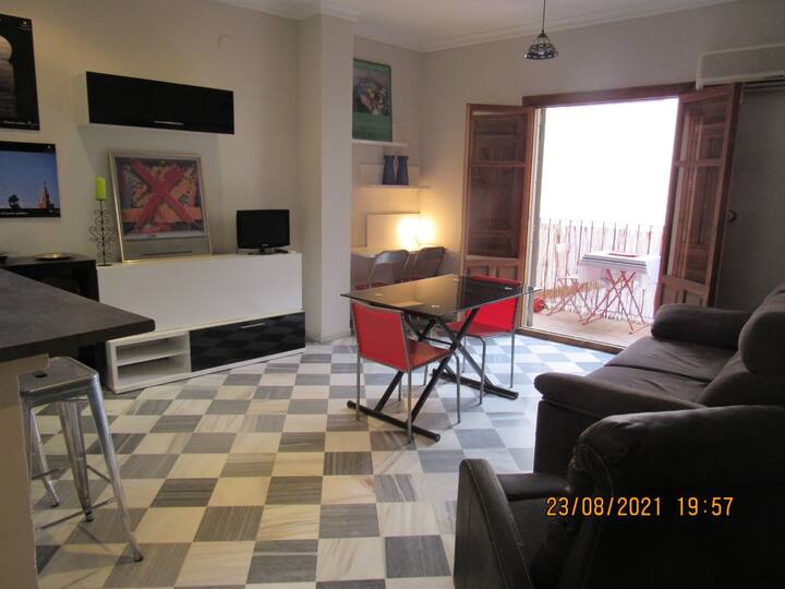 Apartamento Centro Granada.pza Realejo. - Granada