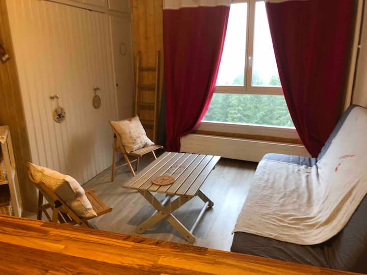 Studio Tout Confort Au Pied Des Pistes Du Lioran - Le Lioran