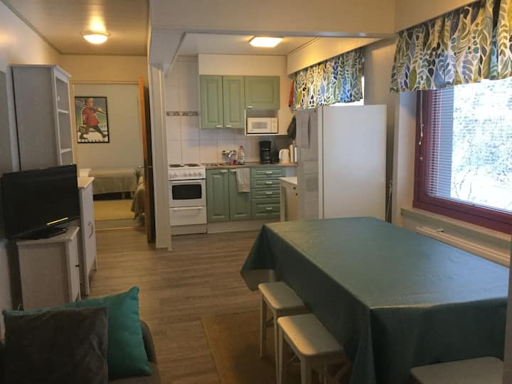 Apartment For 5 Near The Train Station. - Rovaniemi