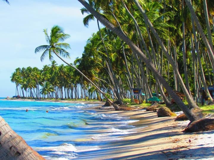 Lindo Flat No Início De Carneiros Com Camareira - Praia dos Carneiros