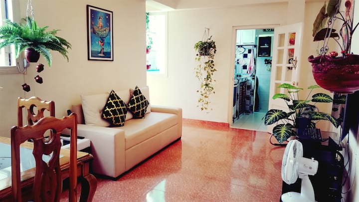 Bright & Cosy-(wifi-free) No Power Cuts-center - Cuba