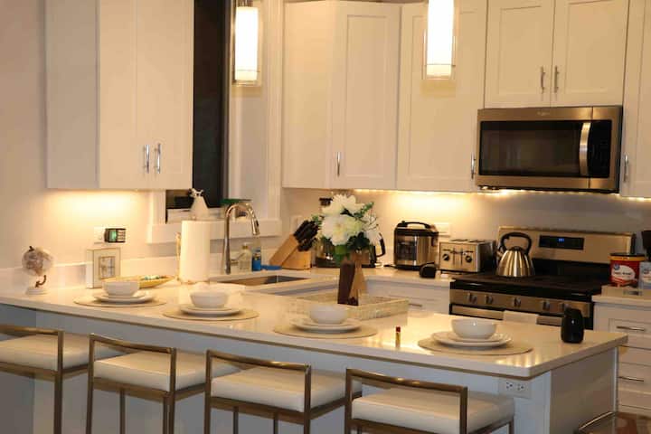 Upscale Chicago Condo Near Downtown | Walk To Cta - Oak Park, IL