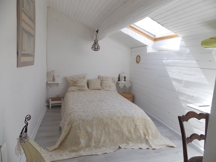 Chambre&salon, 2 Pièces Privées, Centre Piétonnier - Nîmes