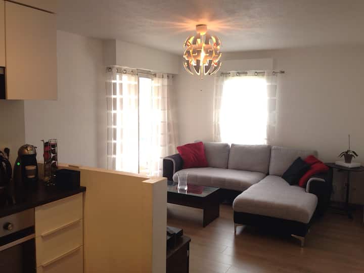 Cannes - Le Cannet, Agréable Appartement + Piscine - Mouans-Sartoux