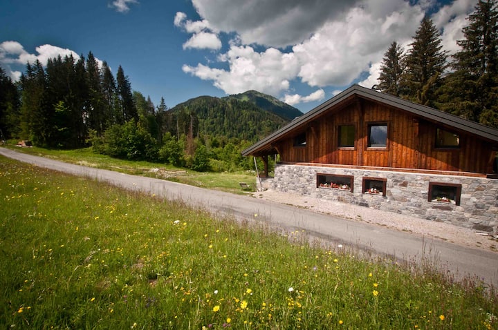 Appartement 4/5 Pers. Chalet Le Bolet - Avoriaz