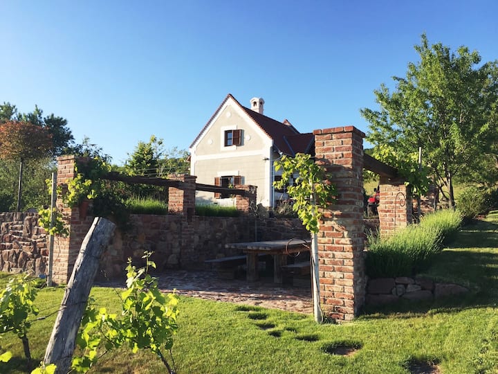 Lake Balaton Villas | House and Villa Rentals | Airbnb