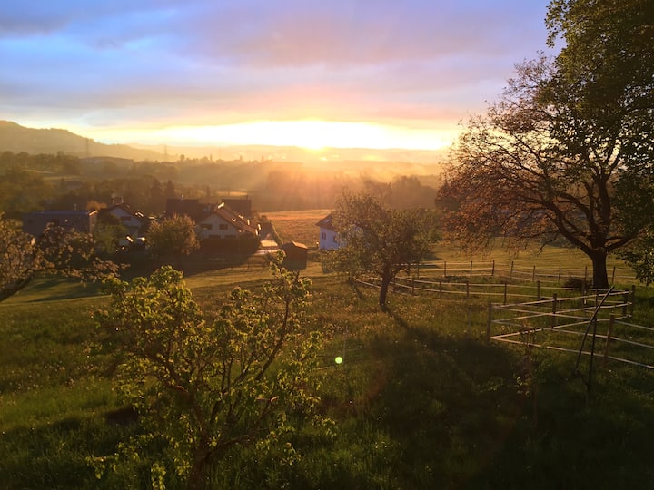 Appartement à La Campagne, à 15 Minutes De Vevey - Vevey