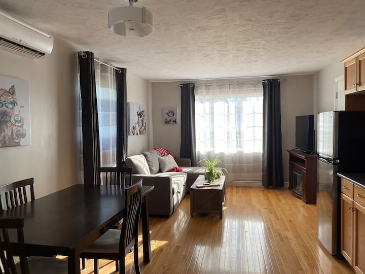 Entire Apt, 1bed+sofabed, Full Kitchen, Parking - Moncton