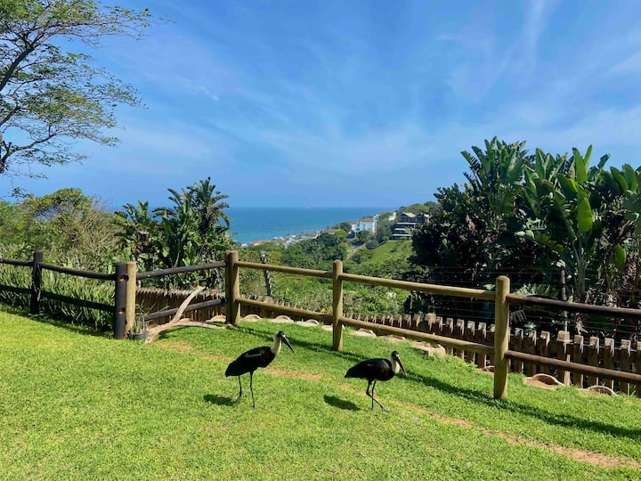 Beautiful 2 Bedroom Apartment, No Loadshedding - Dolphin Coast