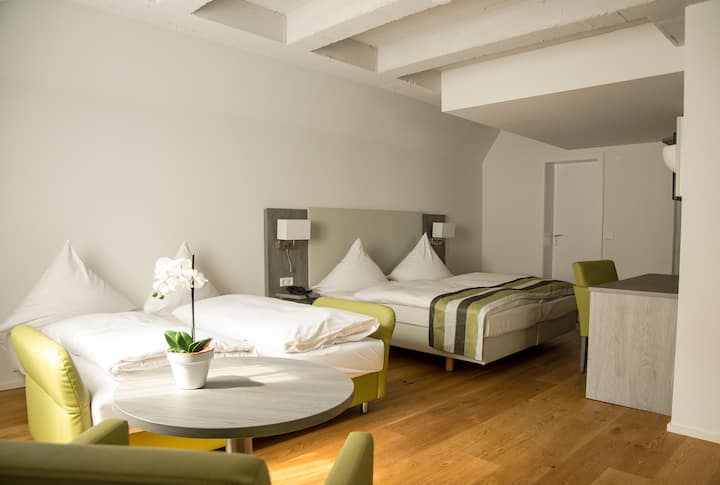 Hotel Am Schloss - Vierbettzimmer Mit Kitchenette - Heidelberg
